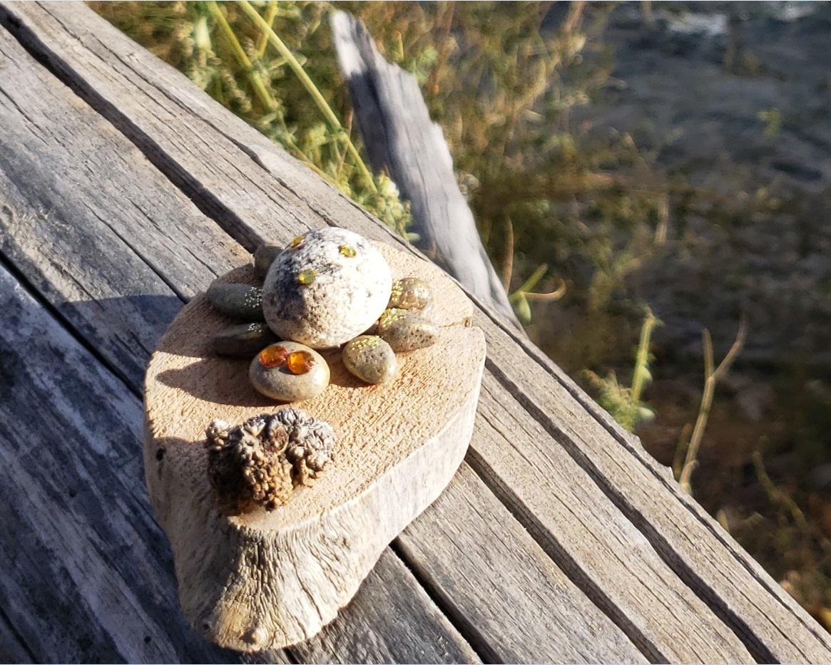 Lil' Rock Pets™ – Rock figurines